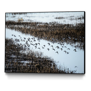 "Flock" Art block Framed Canvas, 20"x16" - Contemporary - Prints And ...