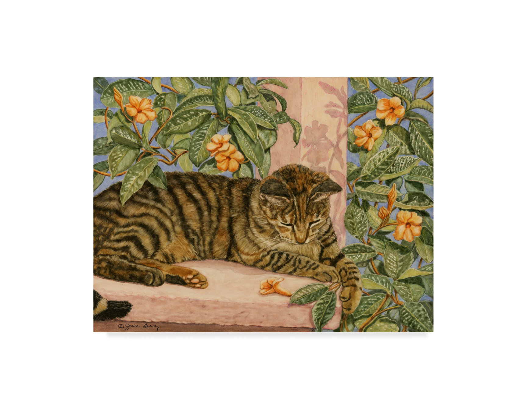 Jan Benz 'Caribbean Cat' Canvas Art, 19"x14" - Contemporary - Prints ...