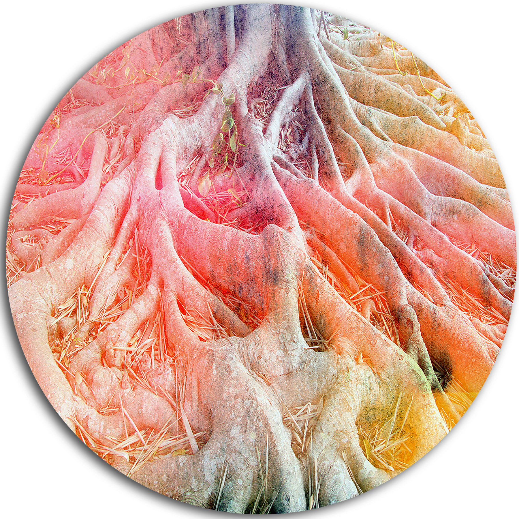 Retro Tree Roots Watercolor, Trees Painting Round Metal Wall Art, Disc ...