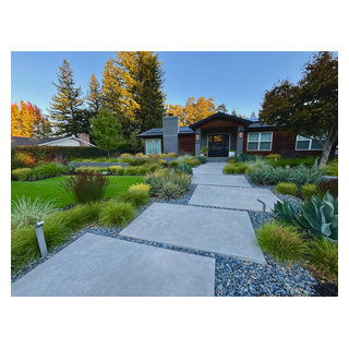 Alamo Modern Low Water Front Yard - Modern - Landscape - San Francisco ...