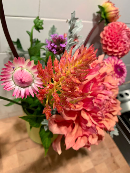 Such a pretty bouquet | Houzz Forum