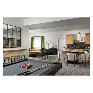 Luxurious Modern Rec Room - Contemporary - Basement - Denver - by Gala ...