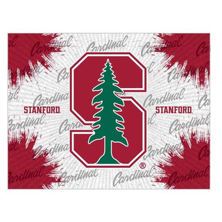Stanford Logo Canvas, 32"x24" - Contemporary - Prints And Posters - by ...