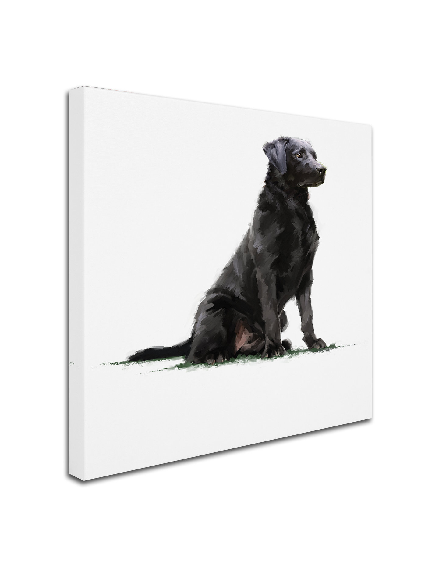 The Macneil Studio 'Black Lab' Canvas Art, 18"x 18" - Contemporary ...