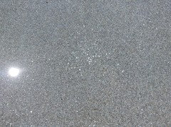 Adding abalone to pebble sheen pool