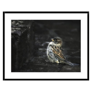 "The Wall" Framed Digital Print by Holger Droste, 24x20", 38"x30 ...