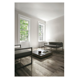 Modern Tile - Acif Kauri - Petrified Wood Porcelain Tile - Modern - San ...