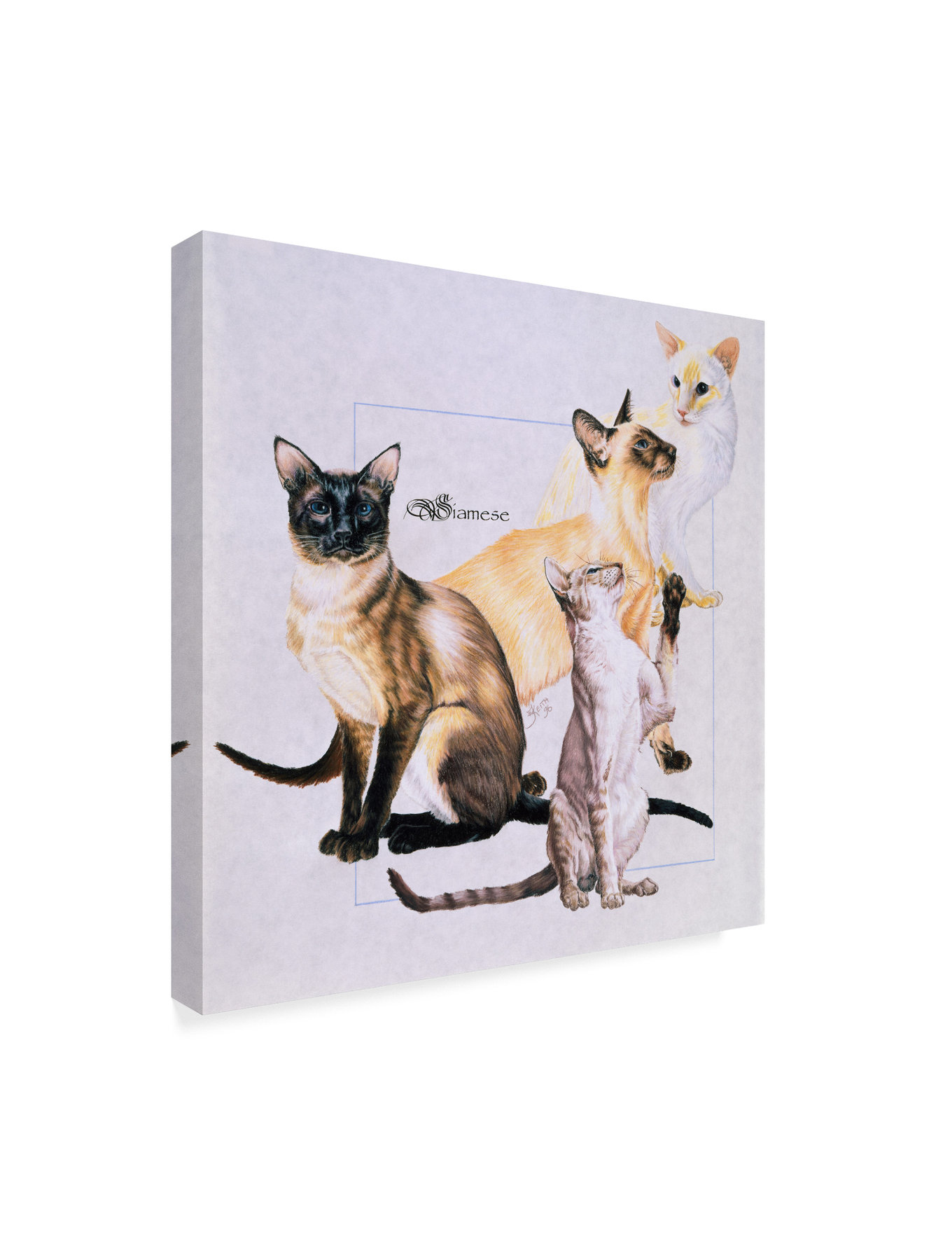 "Siamese" by Barbara Keith, Canvas Art, 14"x14" - Contemporary - Prints ...