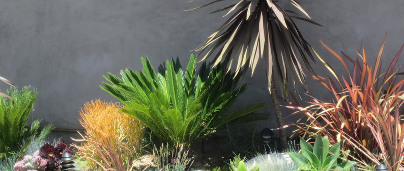 STACEY PERLMAN LANDSCAPE DESIGN - Project Photos & Reviews - Los ...