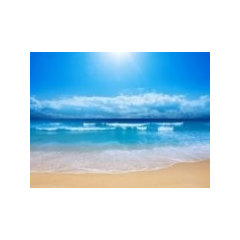 Elisa Fox Designs - Project Photos & Reviews - BC, CA | Houzz