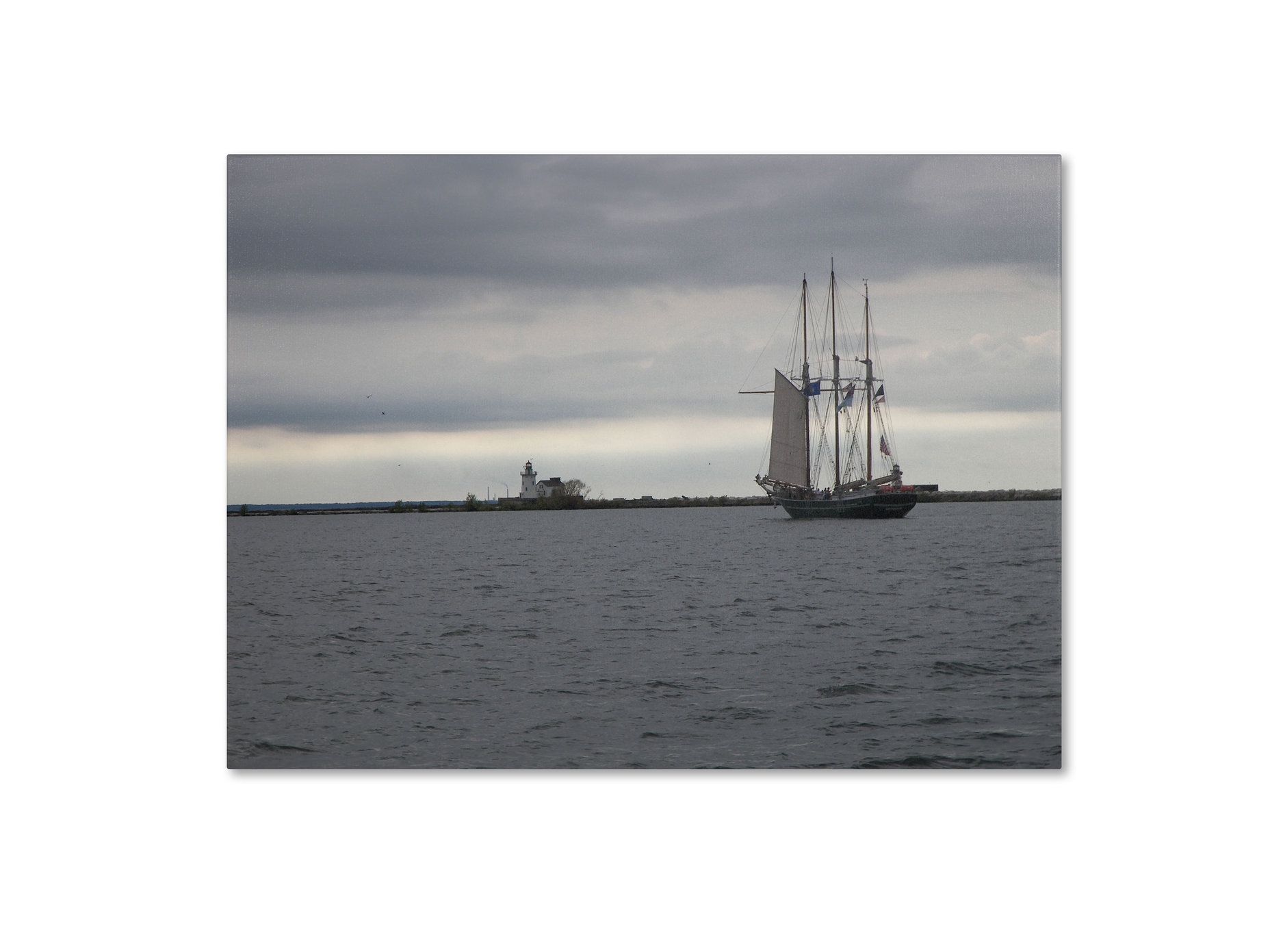 'Breaking Boundary' Canvas Art by Monica Fleet, 14" x 19" - Beach Style ...