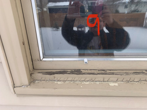 Restoring 1966 Andersen Perma-Shield Windows?