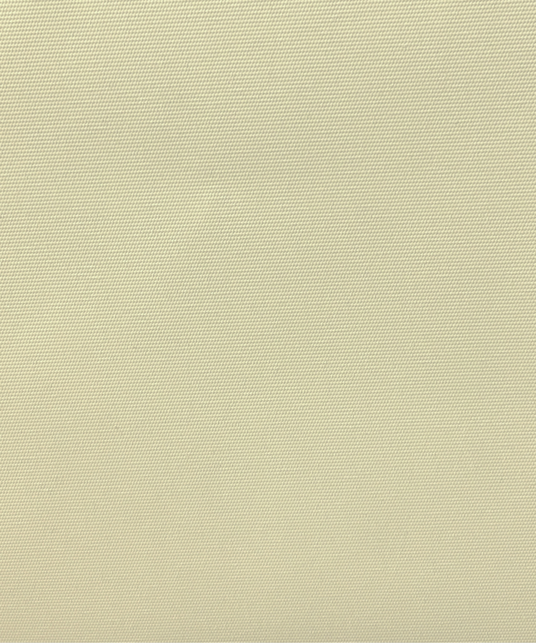 Blackout Window Shade, Beige, 18x36, 18"x36" - Contemporary - Roller ...