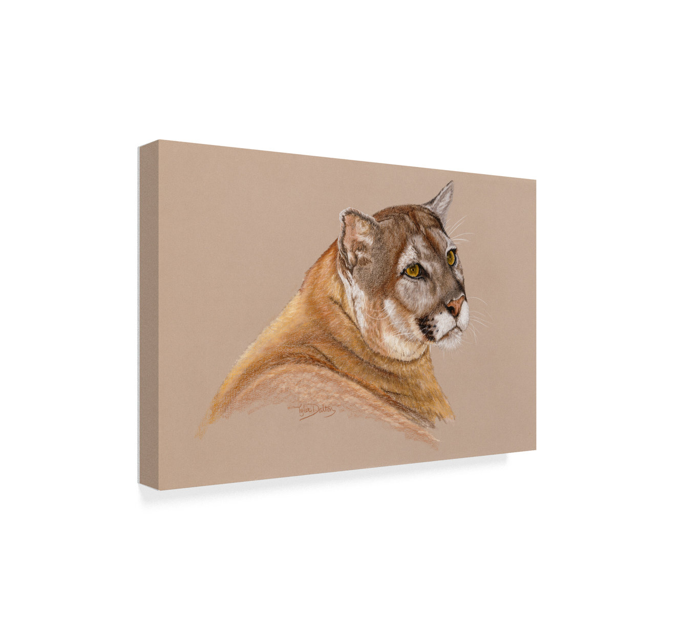 "Cougar" by Barbara Keith, Canvas Art, 16"x24" - Contemporary - Prints ...