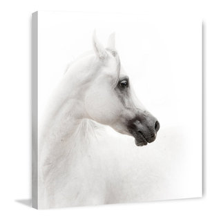 "Shaded Muzzle" Painting Print on Wrapped Canvas, 24"x24 ...