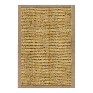 Spice Sisal Rug with Pistachio Shell Cotton Border, 3x5 - Beach Style ...