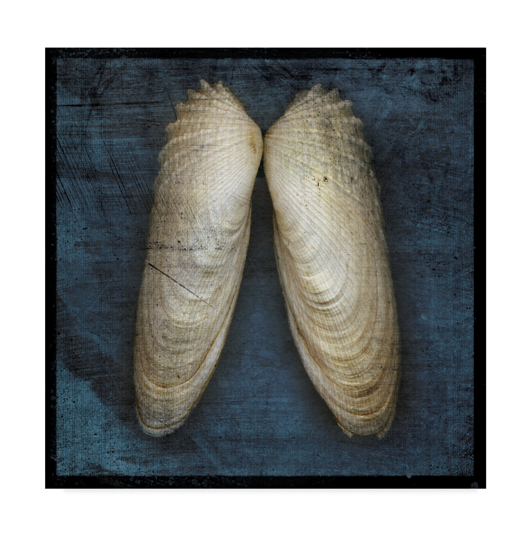 John W. Golden 'Angel Wings' Canvas Art, 35"x35" - Beach Style - Prints ...