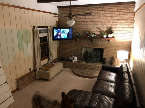 Den Wall Paint Ideas?!