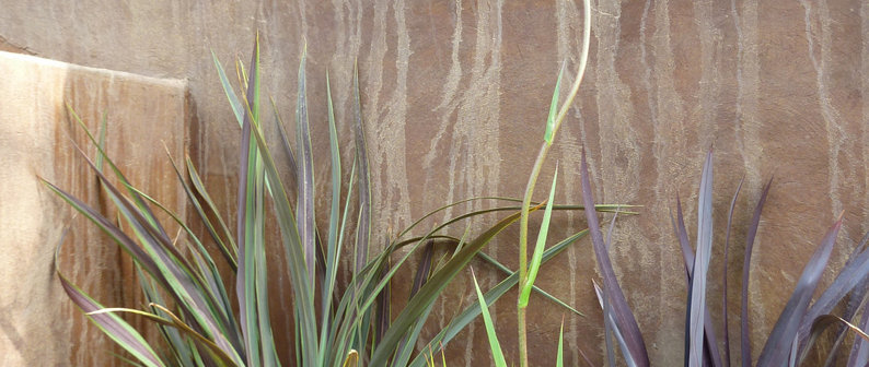 d. zelen - Project Photos & Reviews - San Francisco, CA US | Houzz