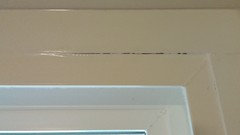Retrofit Windows