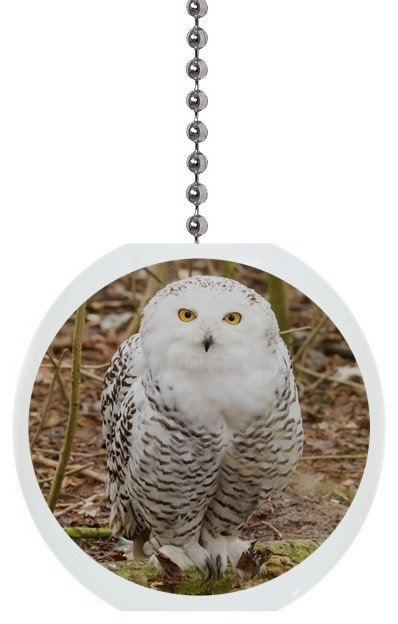 Snow Owl Ceiling Fan Pull - Rustic - Ceiling Fan Accessories - by ...