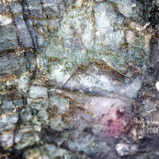 Penny & Lucy Lou Art - Columbia, SC - Artists & Artisans