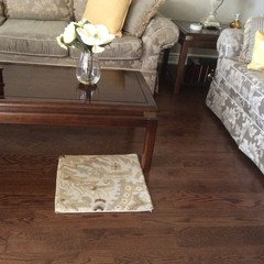 GREAT ROOM - (15' ceiling) & (13' X 18' room size)