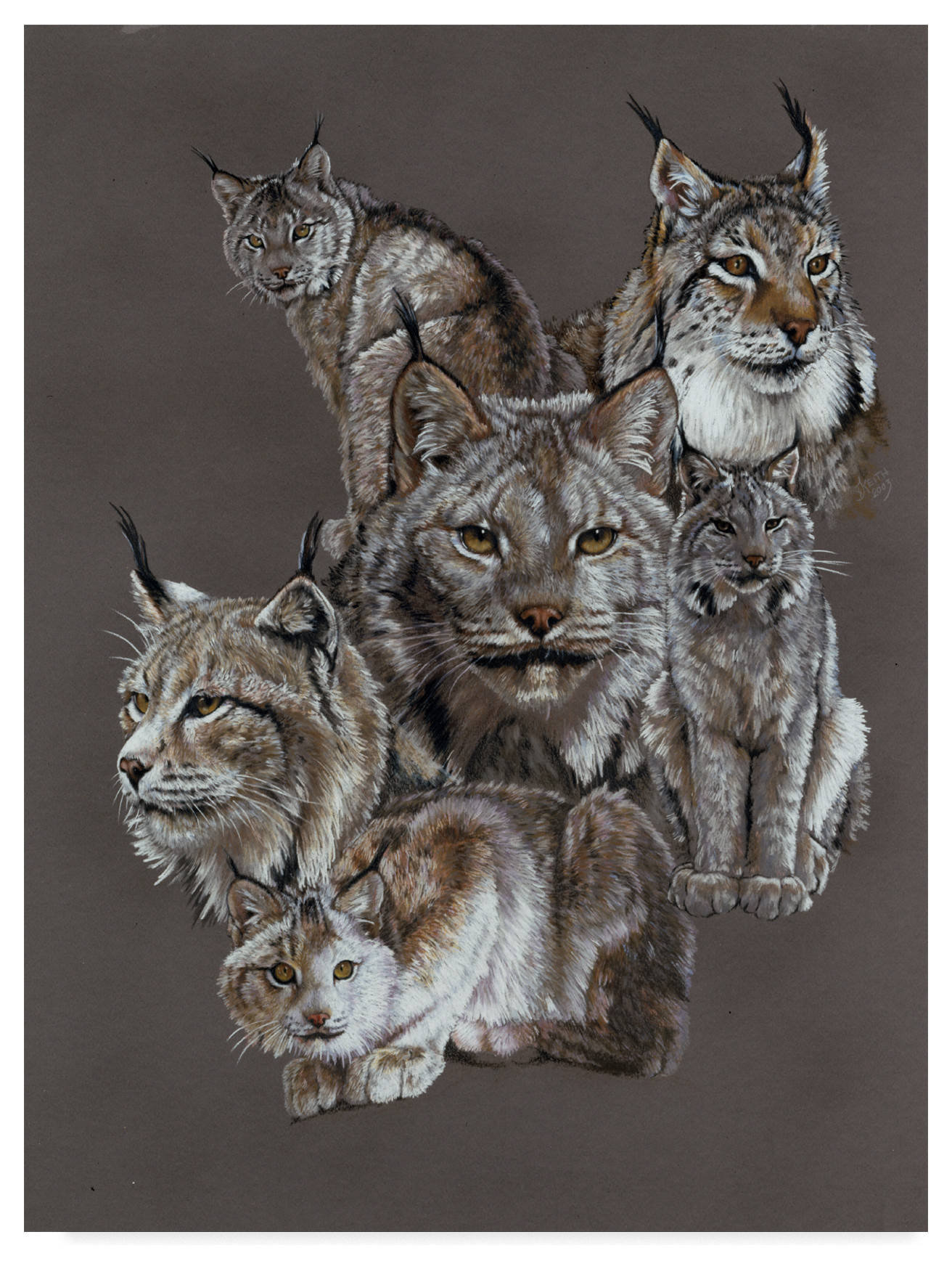 "Rogue" by Barbara Keith, Canvas Art, 24"x18" - Contemporary - Prints ...