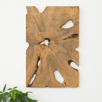 Sliced Teak Root Wall Art - Rustic - Wall Accents - by Best Home ...