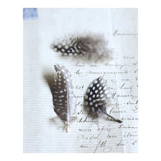 "Plume Letters VI" Digital Paper Print by Sue Schlabach, 18"x22", 16 ...