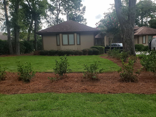 Immediate Hedge? - 2 Rows?