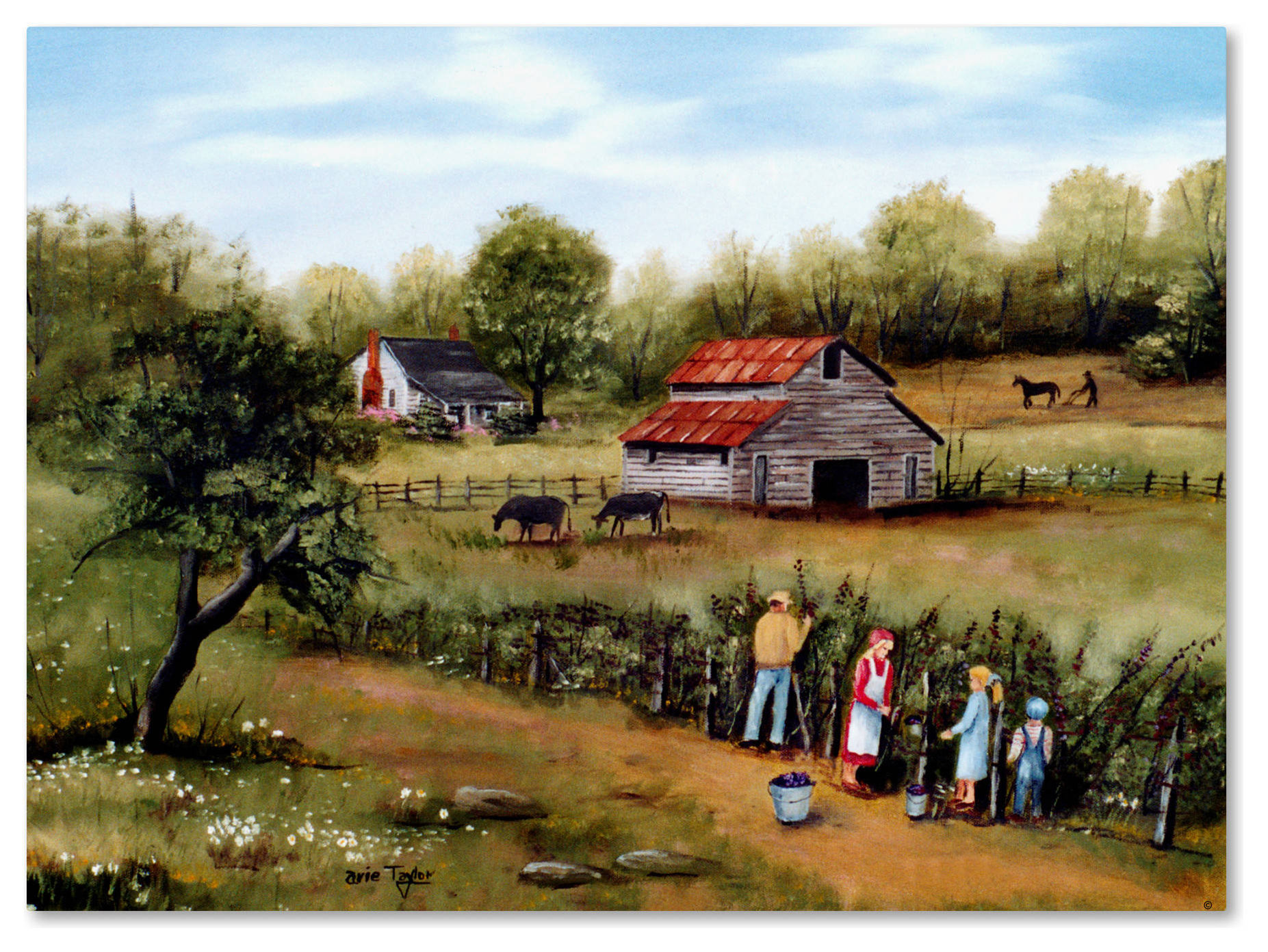 "Pickin Blackberries 3" by Arie Reinhardt Taylor, Canvas Art, 19"x14 ...