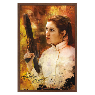 Star Wars: Saga - Princess Leia - Signature - Contemporary - Prints And ...