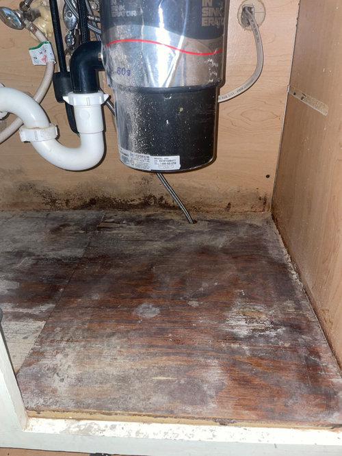Mold under kitchen cabinet!