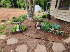 improving this shady area