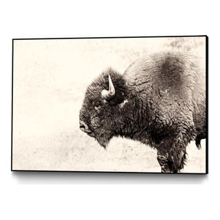Giant Art Canvas 36x24 Buffalo Framed in Pink - Southwestern - Prints ...