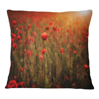 Dense Poppy Field At Sunset Floral Throw Pillow, 16"x16" - Farmhouse ...