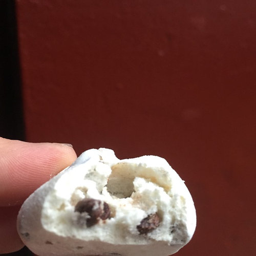 the Forgotten Cookie