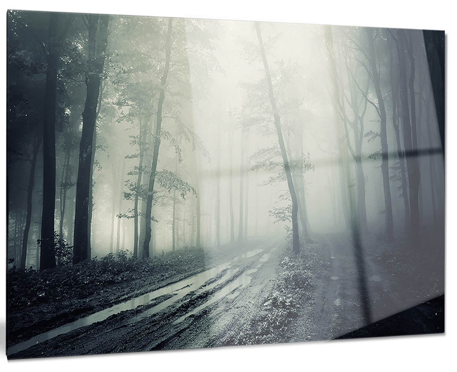 "Spooky Dark Forest With Fog" Photo Glossy Metal Wall Art, 28"x12 ...