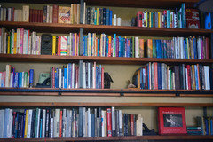 Help! Have vintage book collection, how to display?