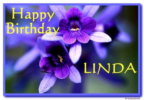 Happy Birthday Linda! (LindaC)