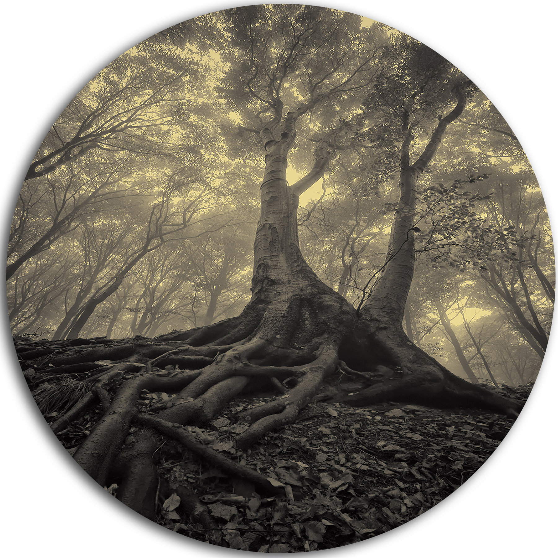 Tree With Big Roots On Halloween, Landscape Disc Metal Artwork, Disc of ...