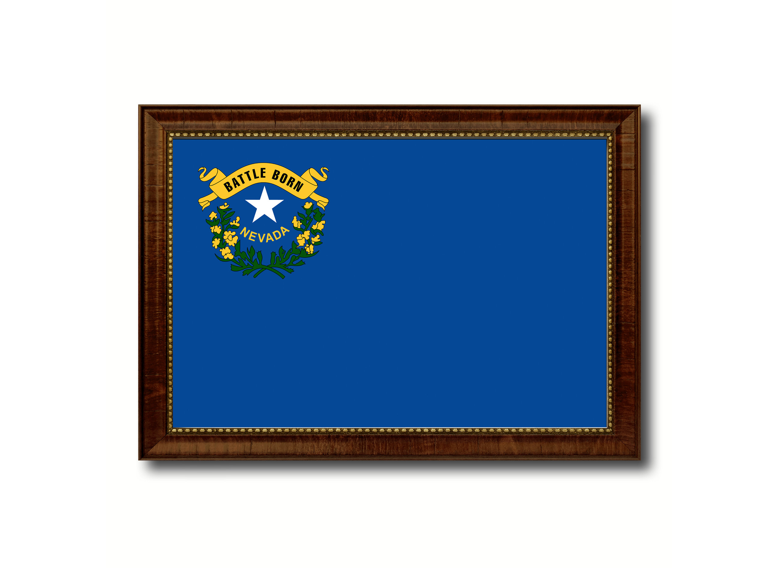 Nevada State Flag Canvas Print, 27"x39" - Traditional - Prints And ...