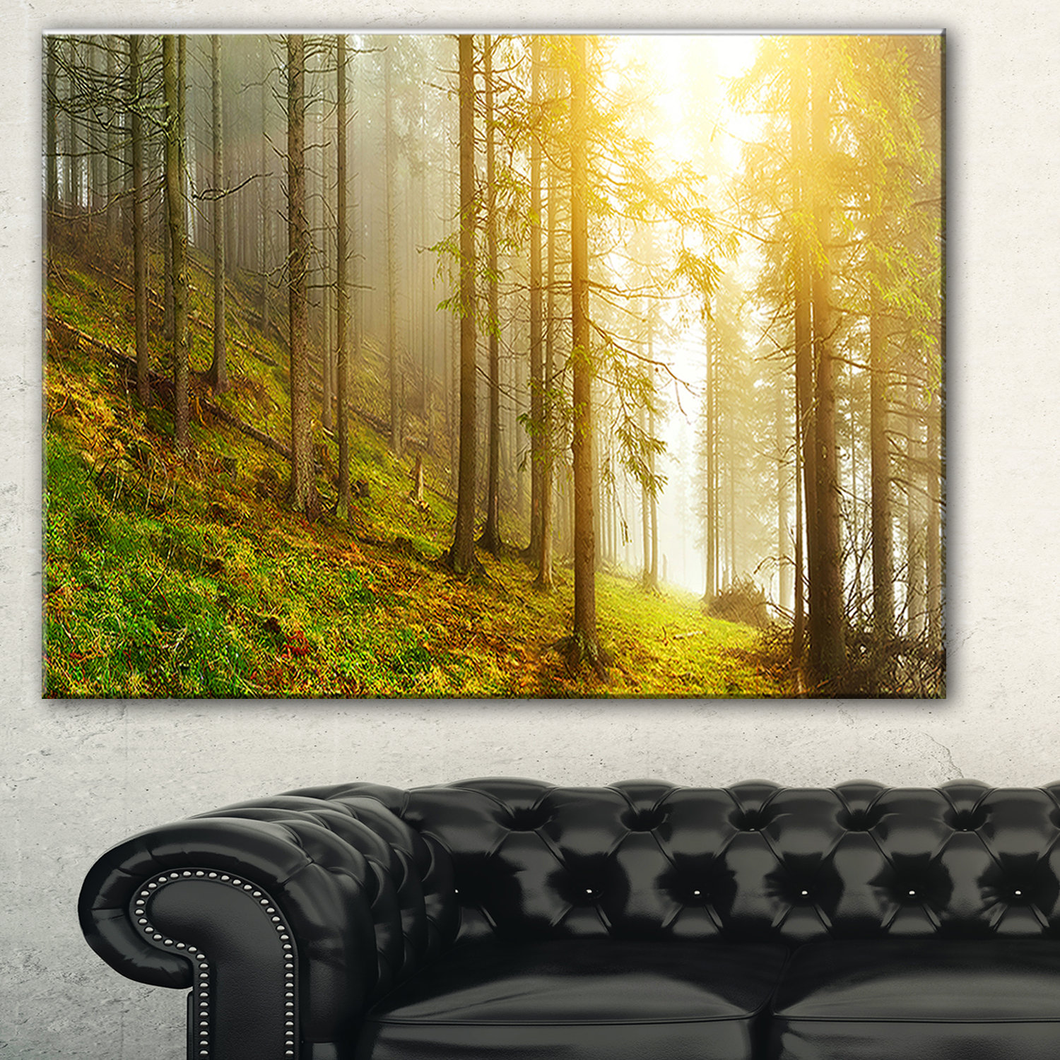 "Sun Finds its Way in Forest" Landscape Photo Canvas Print, 60"x28 ...