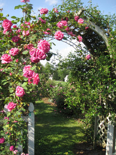 Rose support . Please show your structures