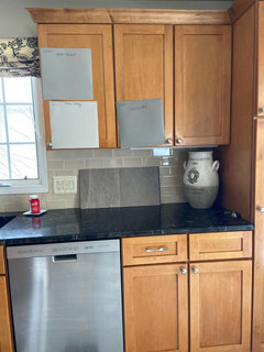 Migmatite Countertops