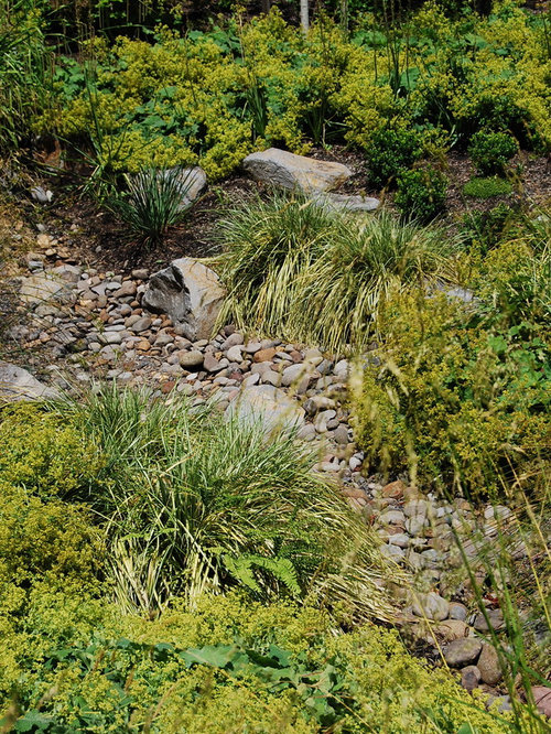 Rock Drainage Swale | Houzz