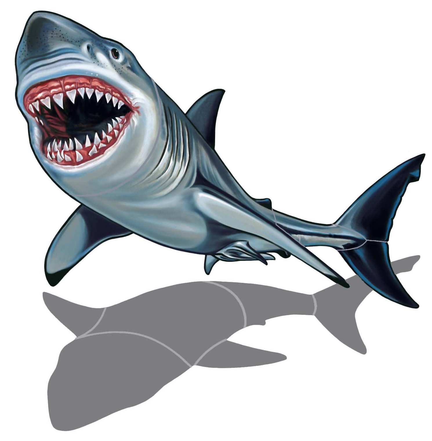 Shark Porcelain Swimming Pool Mosaic, 32"x18" - Beach Style - Accent ...