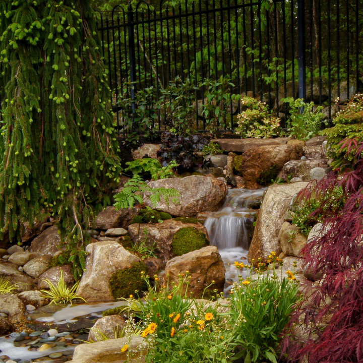 75 Beautiful Asian Garden Ideas & Designs - July 2025 | Houzz AU