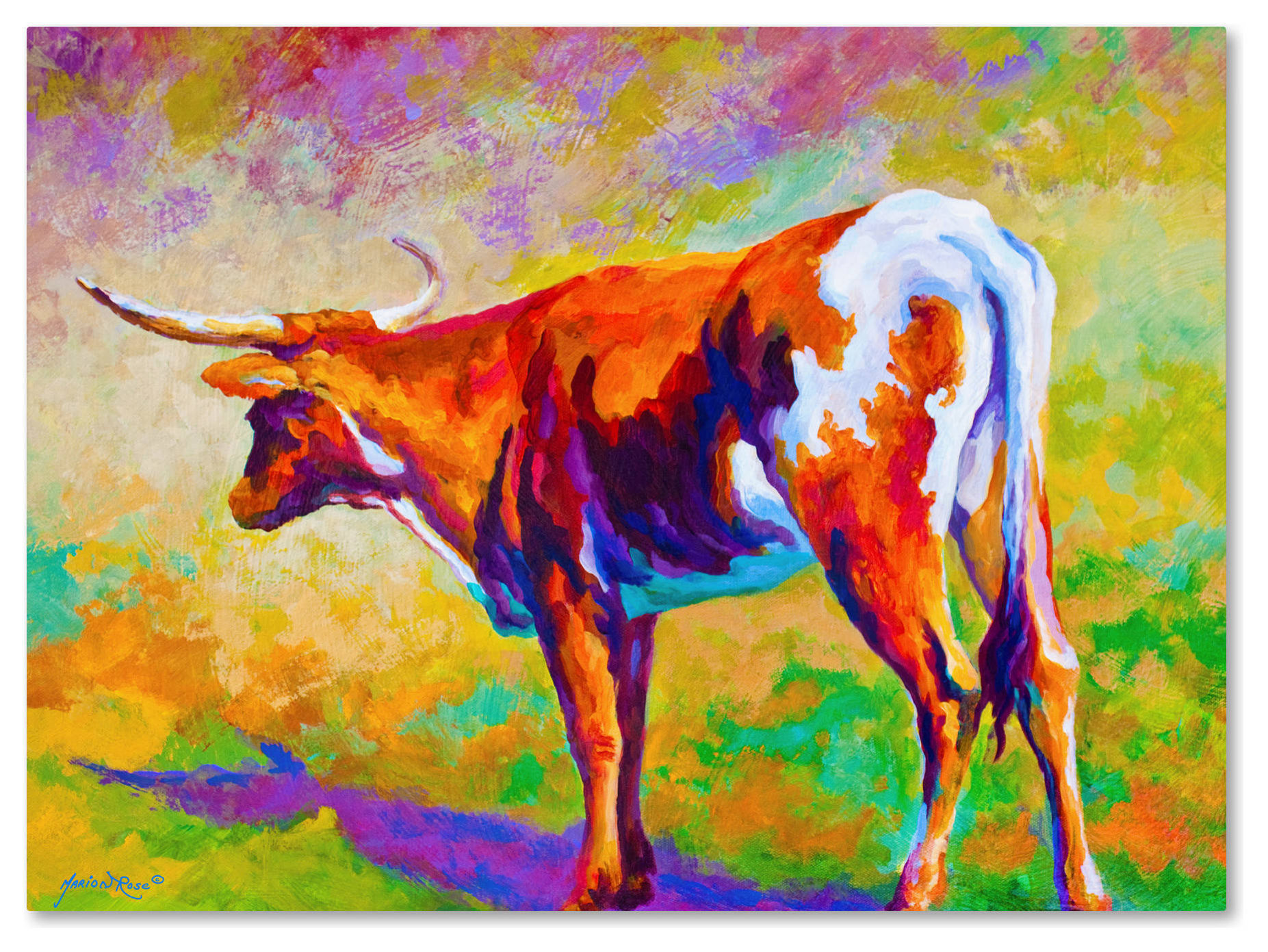 Marion Rose 'Longhorn' Canvas Art, 47"x 35" - Southwestern - Prints And ...